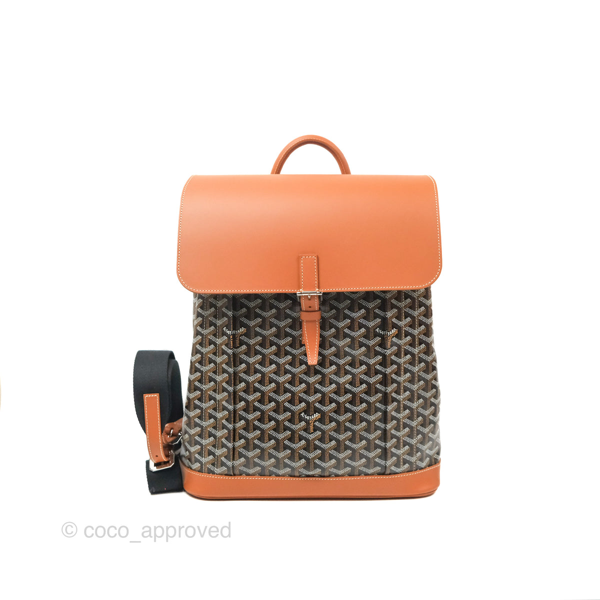 Goyard Alpin MM Backpack Black/ Tan – Coco Approved Studio
