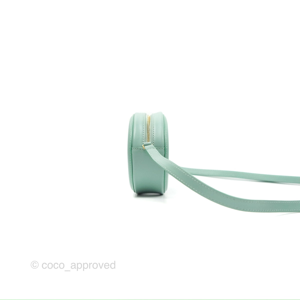 Celine Oval Bag Cuir Triomphe Ice Mint Calfskin – Coco Approved Studio