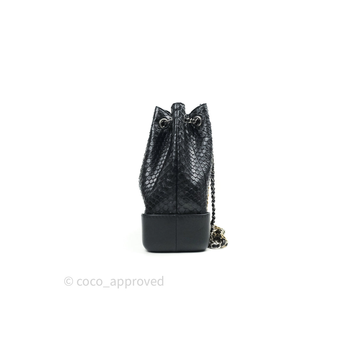 Chanel Gabrielle Backpack Black Python Small Black Mixed Hardware ...